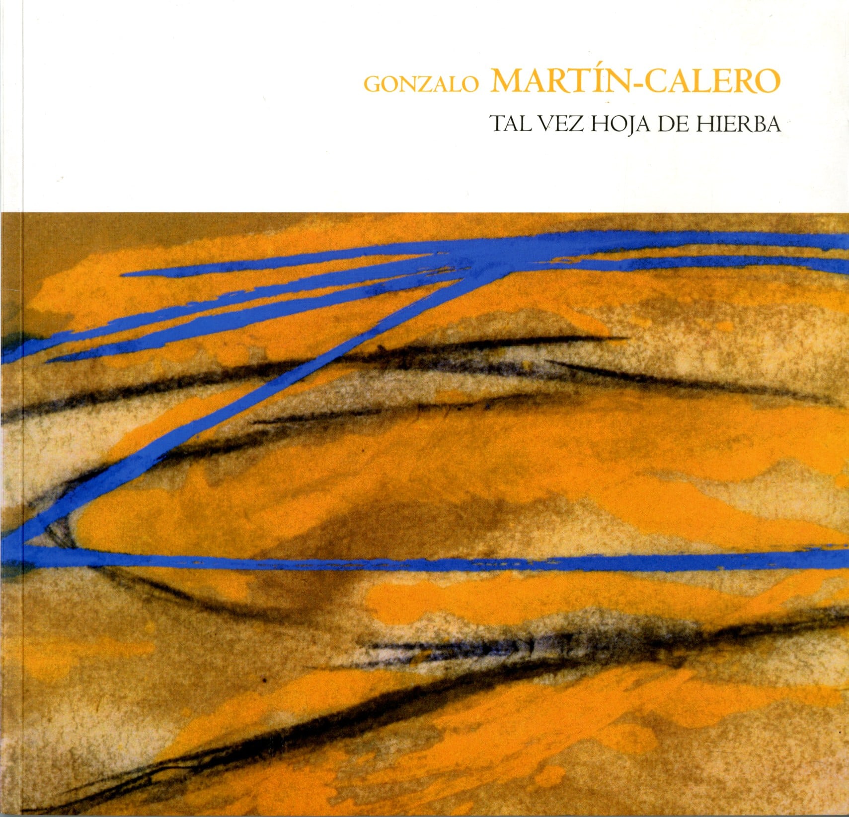 GONZALO MARTÍN-CALERO - Centro de Arte Contemporáneo Aínsa-Sobrarbe ...